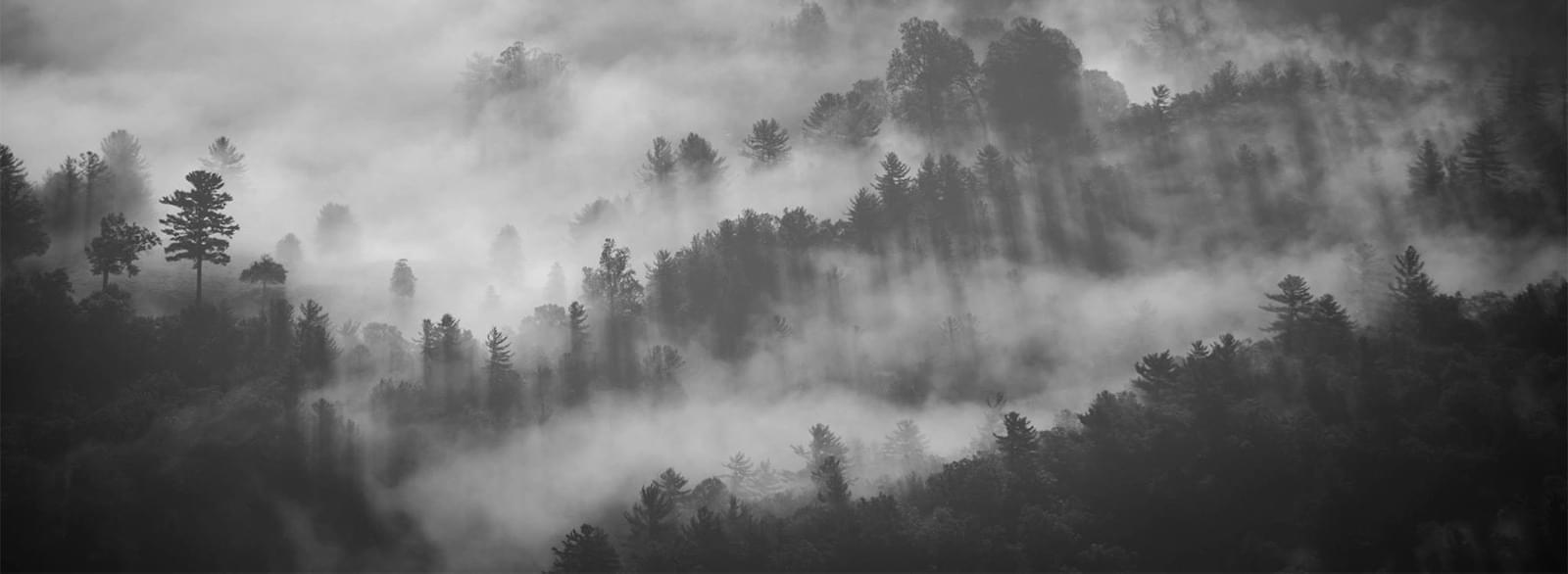 深度学习实战：使用PyTorch构建卷积神经网络